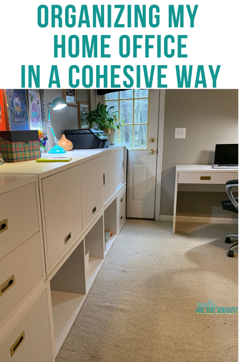 Home office update with video • Really, Are You Serious?