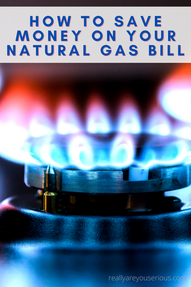 How to save money on your natural gas bill • Really, Are You Serious?